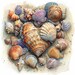Shell Hearts on the Beach Clipart Bundle, 16 High-quality JPG, Craft ...