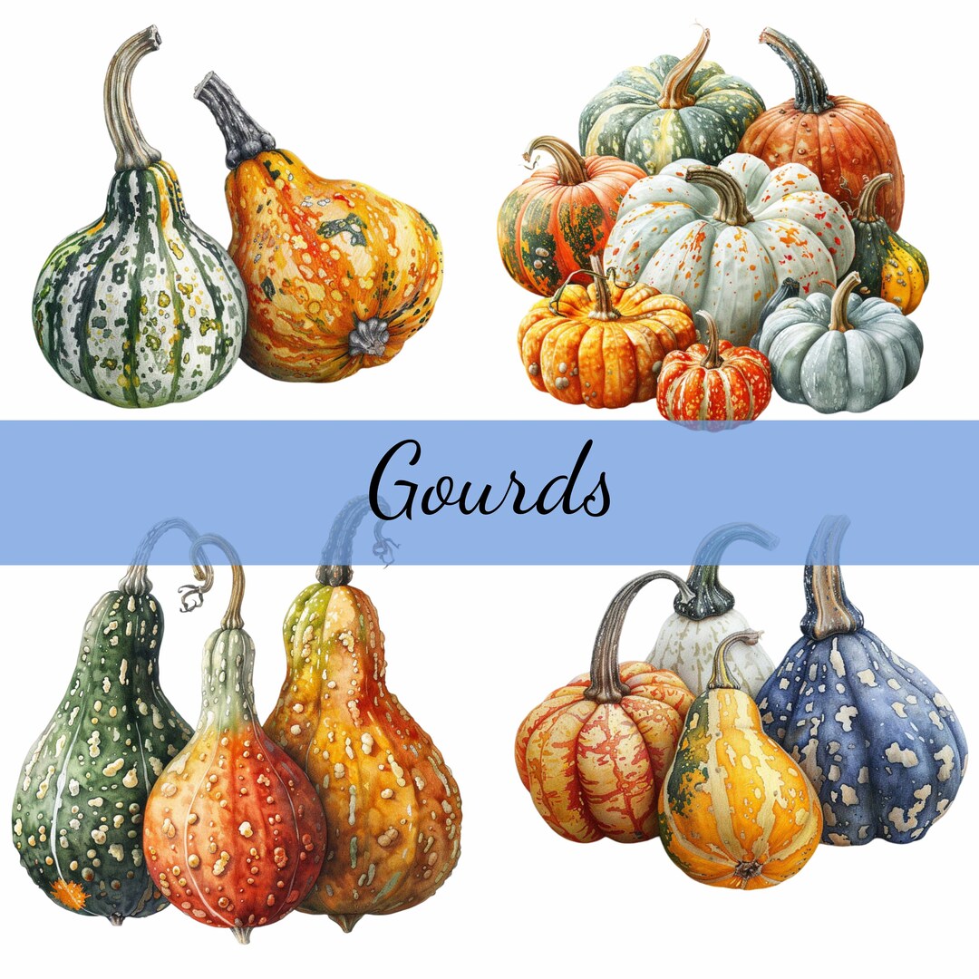 16 Gourds and Pumpkins Clipart Bundle, 16 High-quality JPG, Craft Art ...