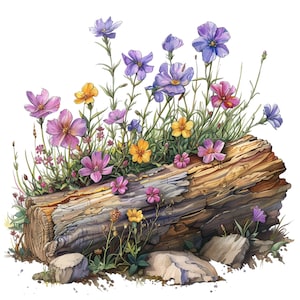 Flower and a Log Clipart Bundle, 16 High-quality JPG, Craft Art, Card ...