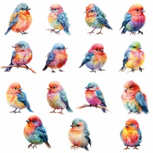 15 Puffy Fluffy Rainbow Birds Clipart Bundle, High-quality JPG, Craft ...