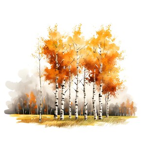 16 Fall Autumn Birch Trees Clipart Bundle, High-quality JPG, Craft Art ...
