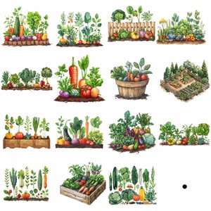 16 Vegetable Garden Clipart Bundle, 16 High-quality JPG, Craft Art ...
