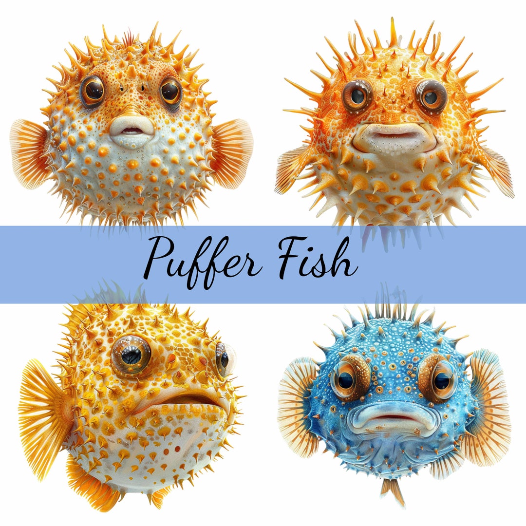 16 Puffer Fish Face Clipart Bundle, 16 High-quality JPG, Craft Art ...