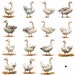 Pretty Goose Clipart Bundle, 15 High-quality JPG, Craft Art, Card ...