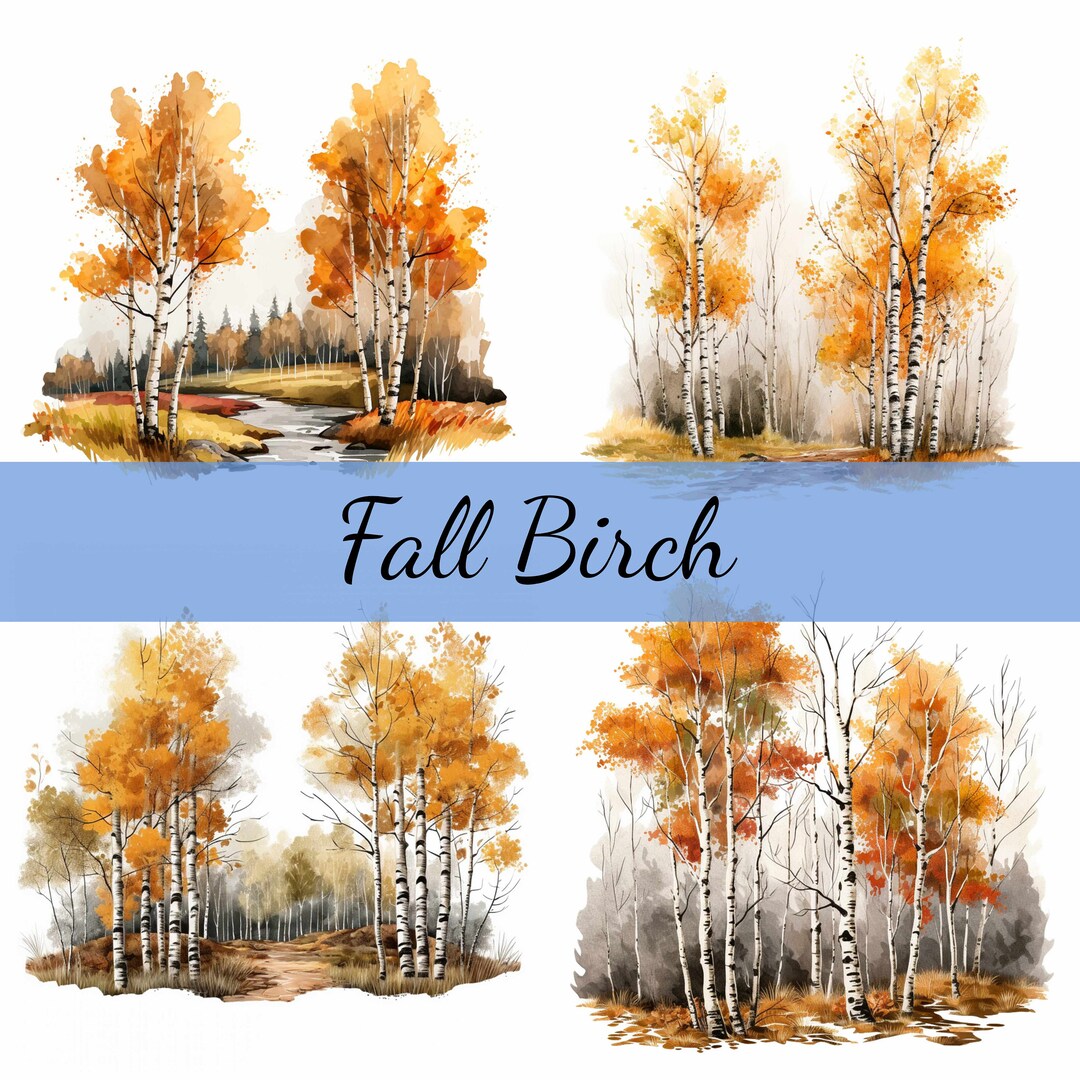 16 Fall Autumn Birch Trees Clipart Bundle, High-quality JPG, Craft Art ...