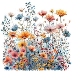 Rainbow Color Flowers Clipart Bundle, 16 High-quality JPG, Craft Art ...