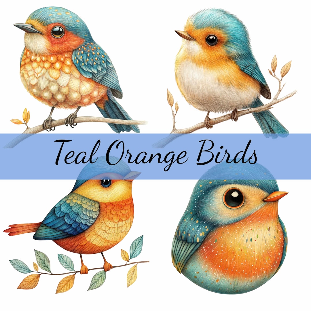 16 Orange Teal Blue Bird Clipart Bundle, 16 High-quality JPG, Craft Art ...