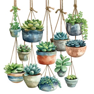 16 Succulents in Hanging Pots Clipart Bundle, 16 High-quality JPG ...