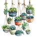 16 Succulents in Hanging Pots Clipart Bundle, 16 High-quality JPG ...