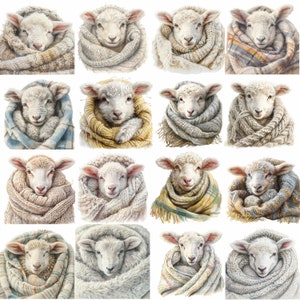 16 Sheep in a Blanket Clipart Bundle, 16 High-quality JPG, Craft Art ...