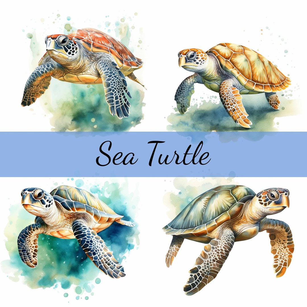 Sea Turtle Clipart Bundle, High-quality JPG, Craft Art, Card Making ...