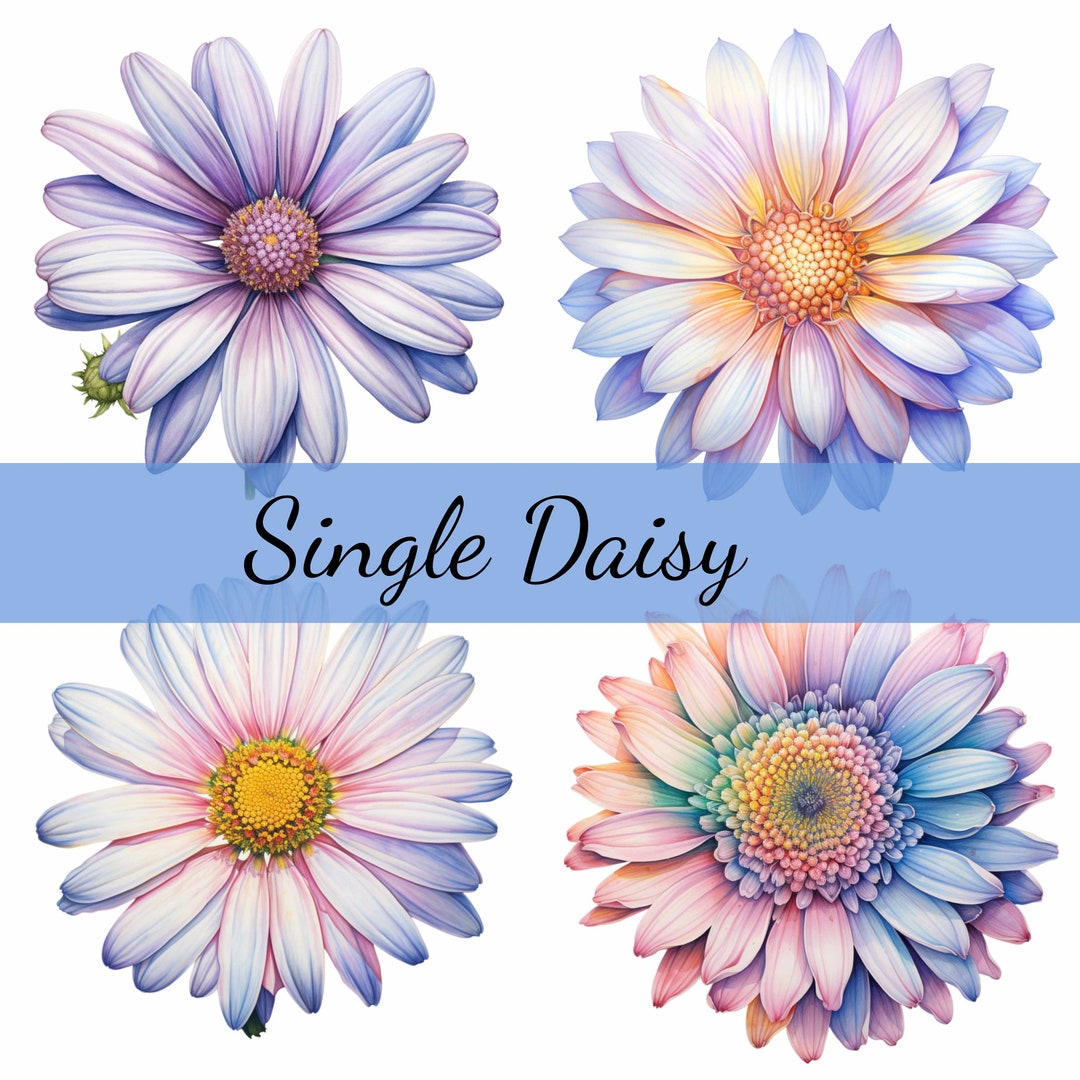 15 Boho Single Daisy Flower Clipart Bundle, High-quality JPG, Craft Art ...
