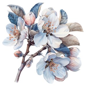 Apple Blossomflowers Clipart Bundle, 16 High-quality JPG, Craft Art ...