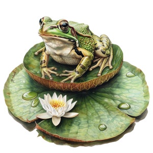 Frog on a Lily Pad With Flower Clipart Bundle, 16 High-quality JPG ...