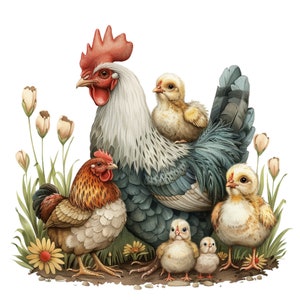 15 Chicken Family Rooster Chick Clipart Bundle, 15 High-quality JPG ...
