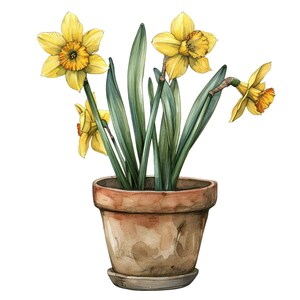 Daffodil in Flower Pot Clipart Bundle, 16 High-quality JPG, Craft Art ...