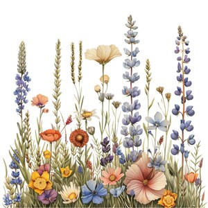 Wildflowers in a Line Border 2 Clipart Bundle, 16 High-quality JPG ...