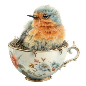16 Cute Bird in a Tea Cup Nest Clipart Bundle, 16 High-quality JPG ...