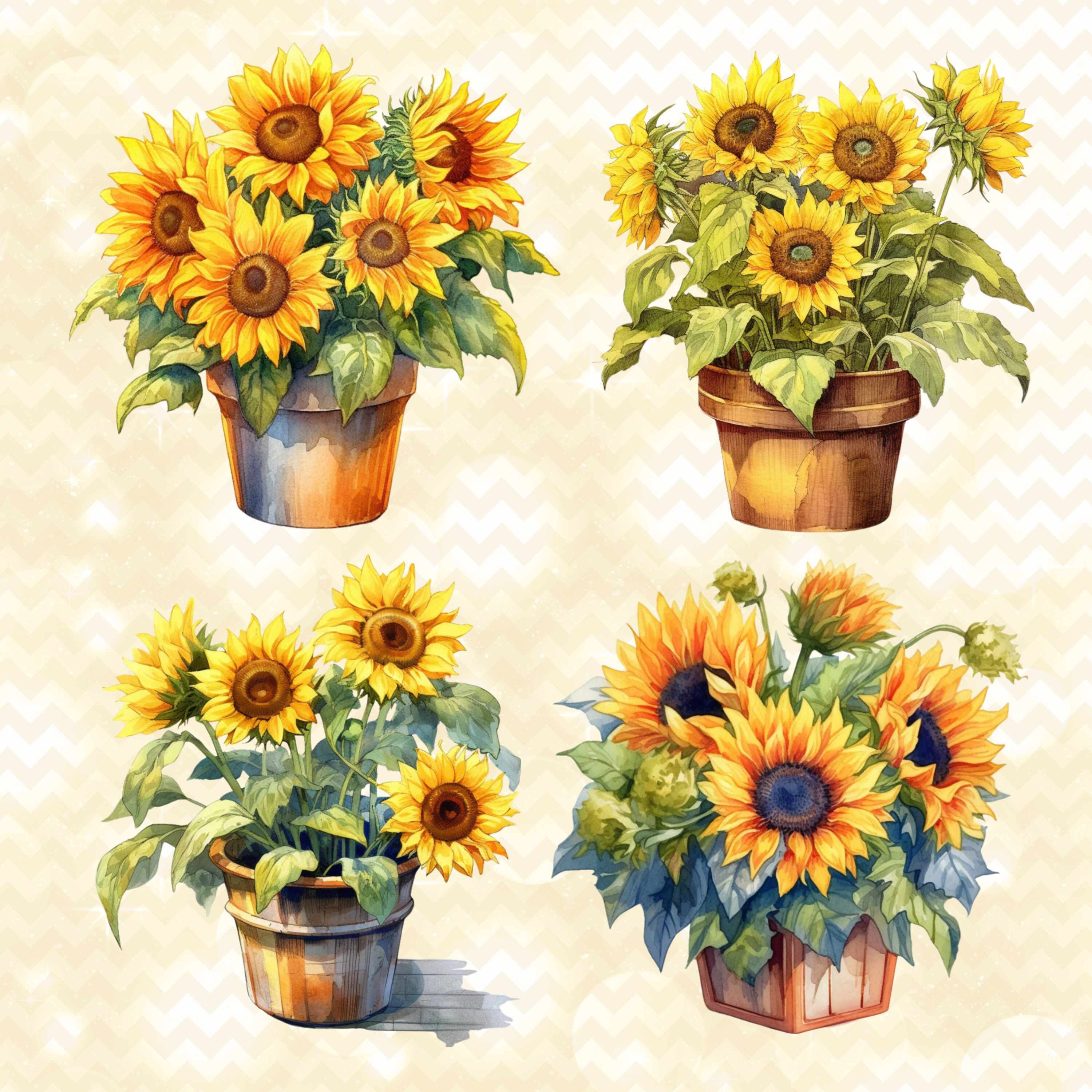 13 Sunflowers in Pots Clipart Bundle, High-quality JPG, Watercolor ...