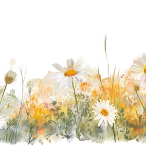 Daisy Flower Border Flower Clipart Bundle, 12 High-quality JPG, Craft ...