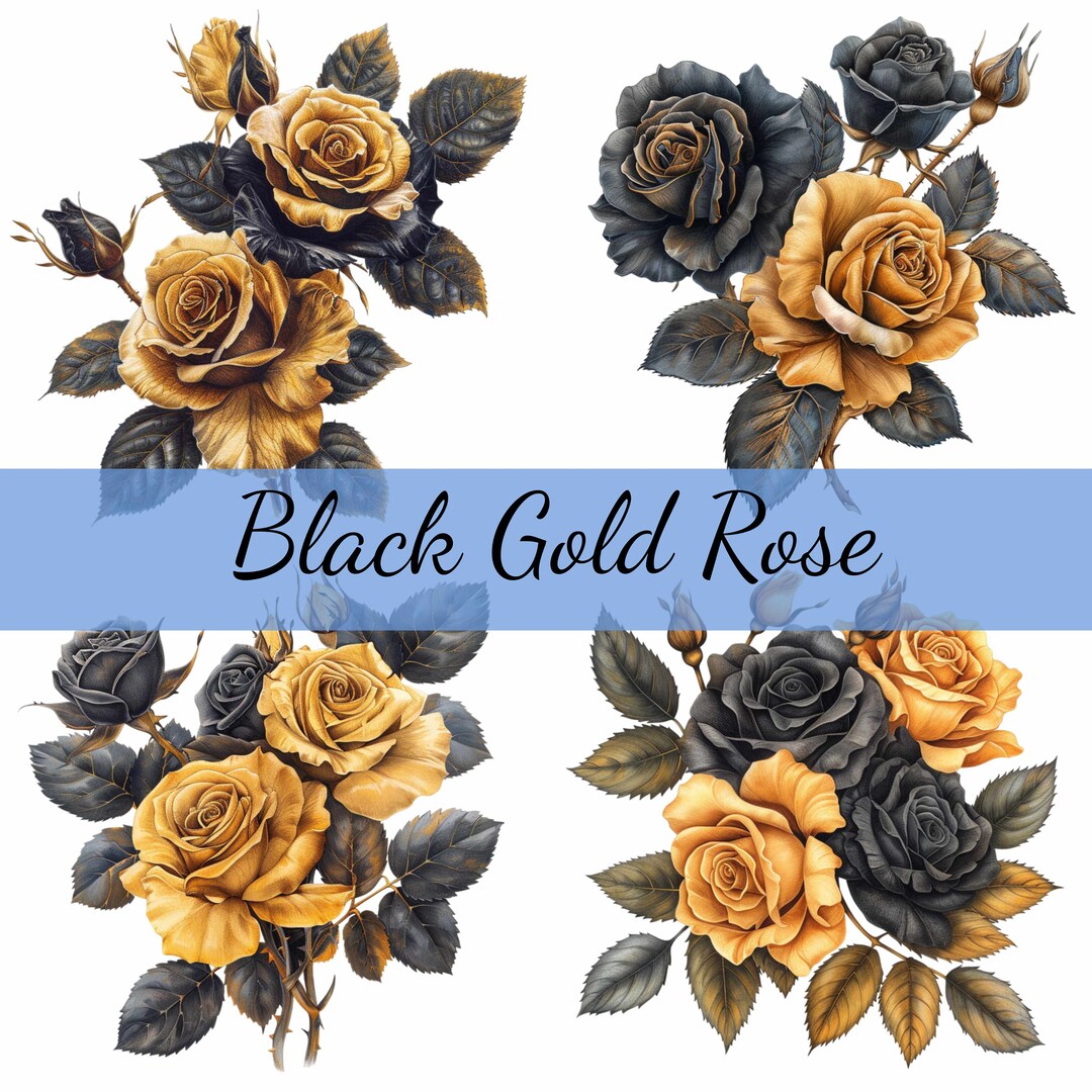 16 Black and Gold Rose Clipart Bundle, 16 High-quality JPG, Craft Art ...