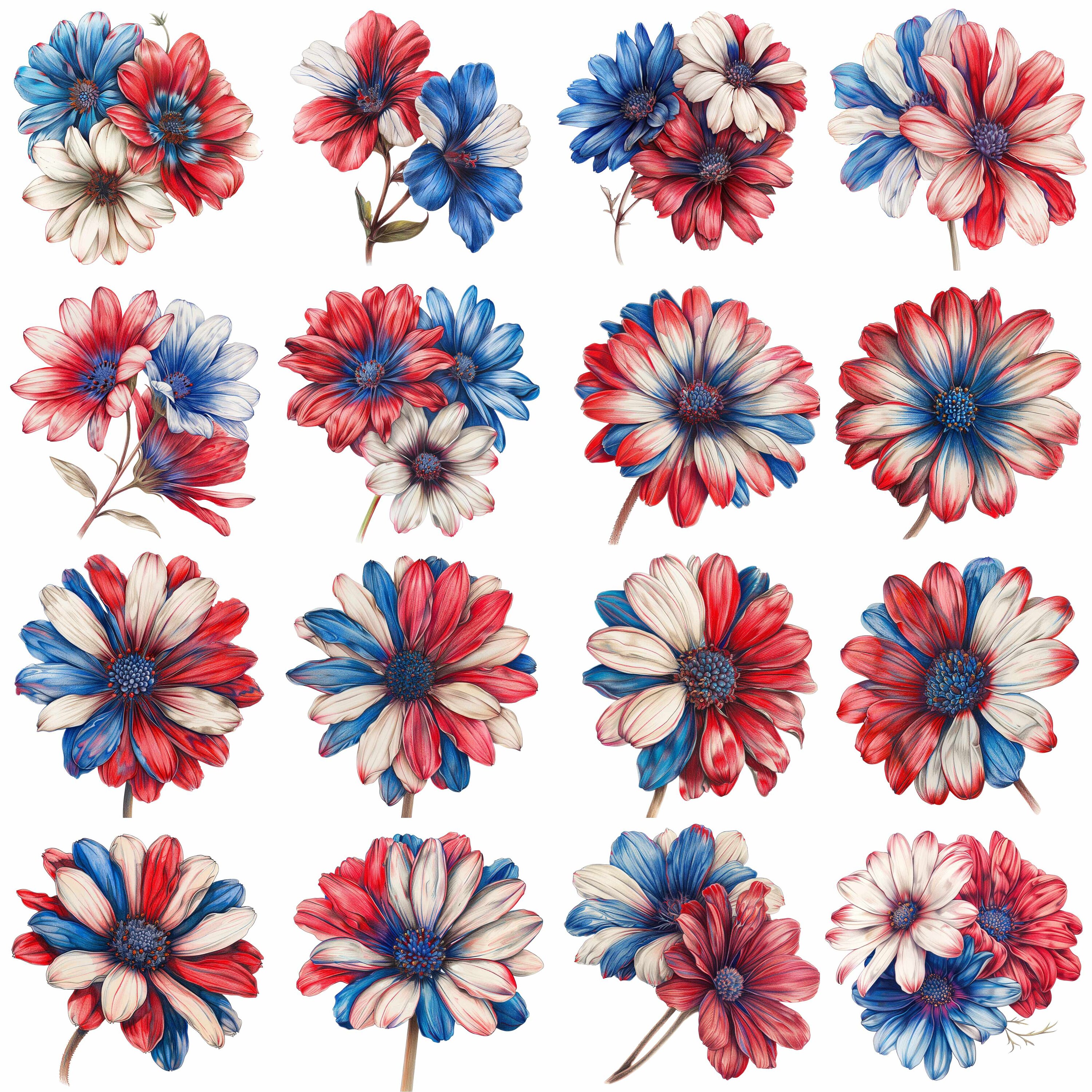 Vibrant 4th Red White Blue Flower Clipart Bundle, 16 High-quality JPG ...