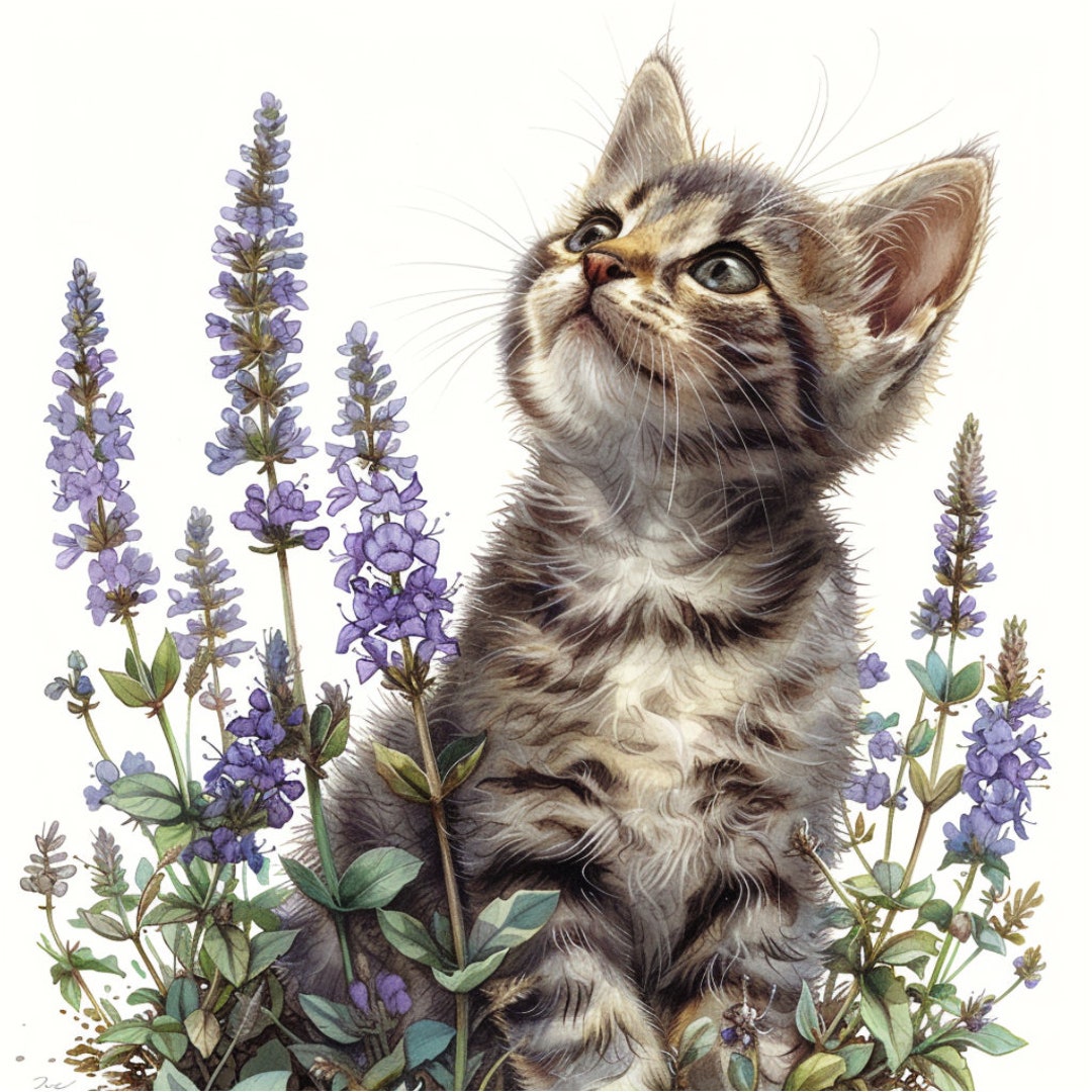 Cat in Purple Catmint Flowers Clipart Bundle, 16 High-quality JPG ...