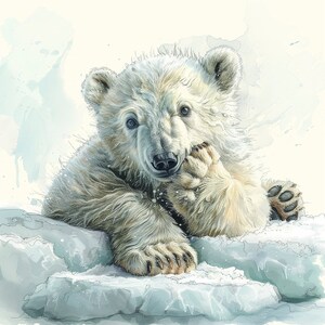 Polar Bear on Ice and Snow Clipart Bundle, 16 High-quality JPG, Craft ...