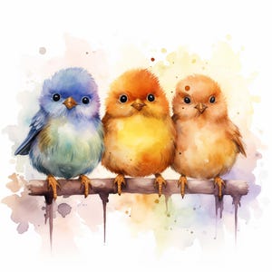 21 Cute Adorable Birds Clipart Bundle, JPG, Card Making, Clip Art ...