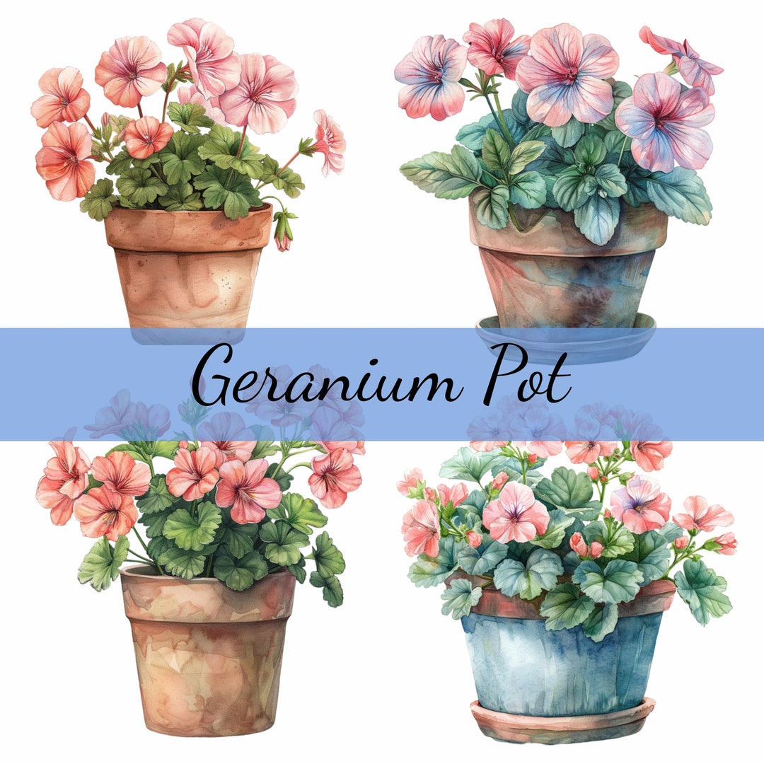 16 Geranium Flowers in a Potclipart Bundle, 16 High-quality JPG, Craft ...