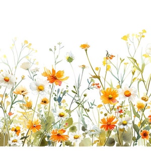 Daisy Flower Border Flower Clipart Bundle, 12 High-quality JPG, Craft ...