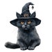 Cat With a Witch Hat Clipart Bundle, 16 High-quality JPG, Craft Art ...