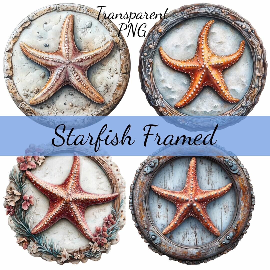 12 Starfish in a Round Frame Clipart Bundle 12 Transparent PNG Download ...