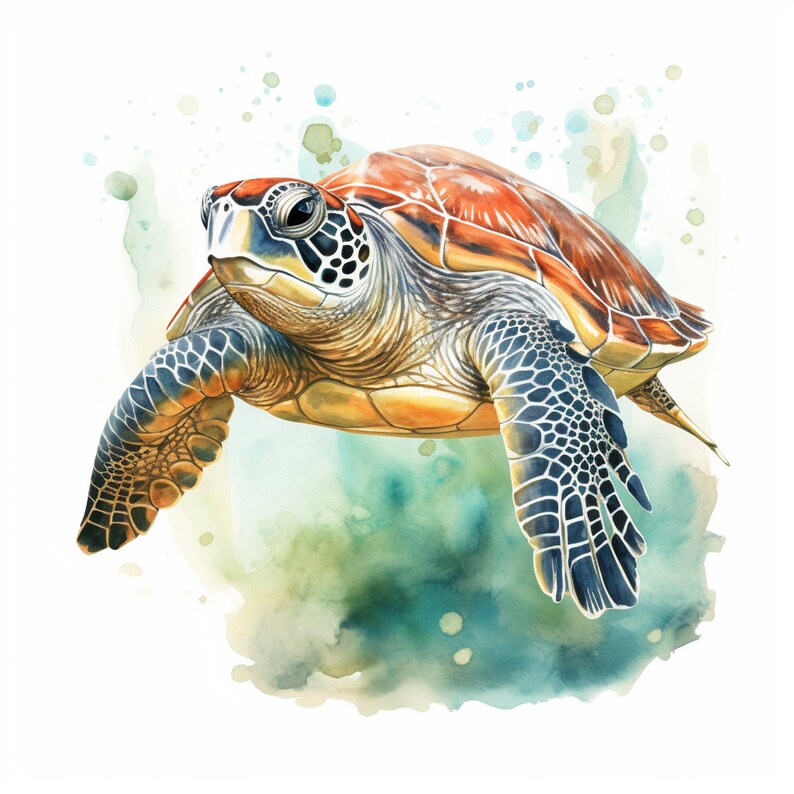 Sea Turtle Clipart Bundle, High-quality JPG, Craft Art, Card Making ...