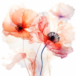 15 Fluffy Poppy Clipart Bundle, High-quality JPG, Craft Art, Card ...