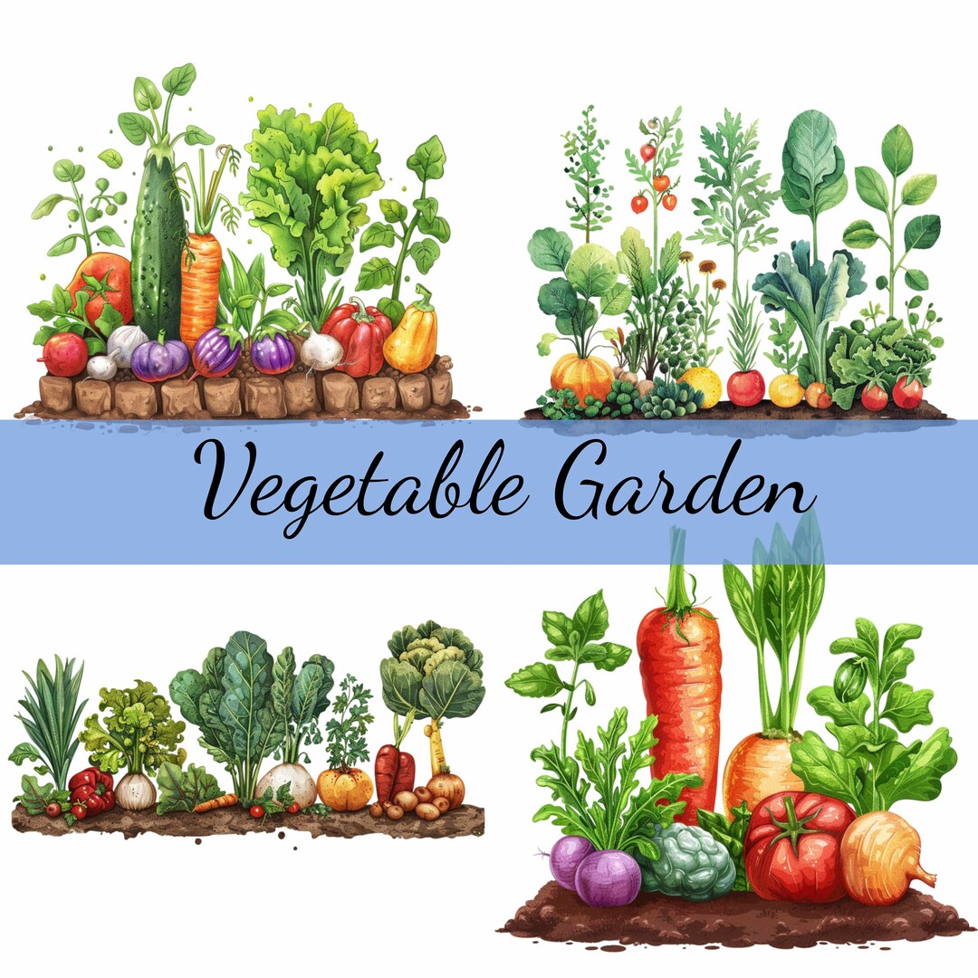 15 Vegetable Garden Clipart Bundle, 16 High-quality JPG, Craft Art ...