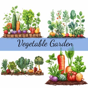 16 Vegetable Garden Clipart Bundle, 16 High-quality JPG, Craft Art ...