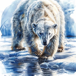 Polar Bear on Ice and Snow Clipart Bundle, 16 High-quality JPG, Craft ...