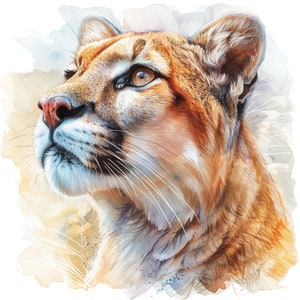 Mountain Lion Clipart Bundle, 16 High-quality JPG, Craft Art, Card ...