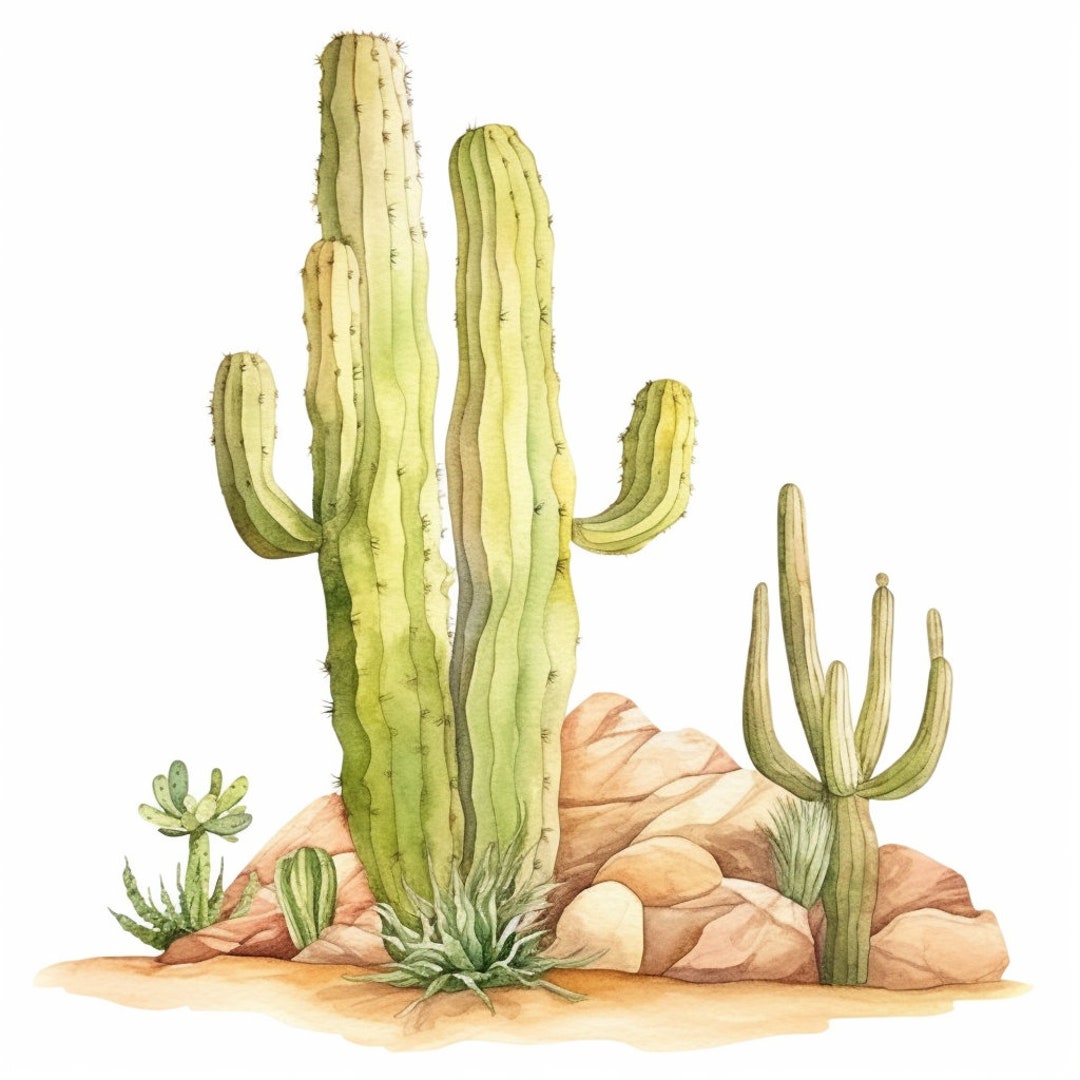 16 Desert Tall Cactus Clipart Bundle, High-quality JPG, Craft Art, Card ...