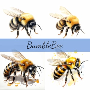 Bumblebee Bee Clipart Bundle, High-quality JPG, Craft Art, Card Making ...