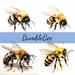 Bumblebee Bee Clipart Bundle, High-quality JPG, Craft Art, Card Making ...