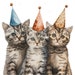Cat With Party Hat Clipart Bundle, 14 High-quality JPG, Craft Art, Card ...