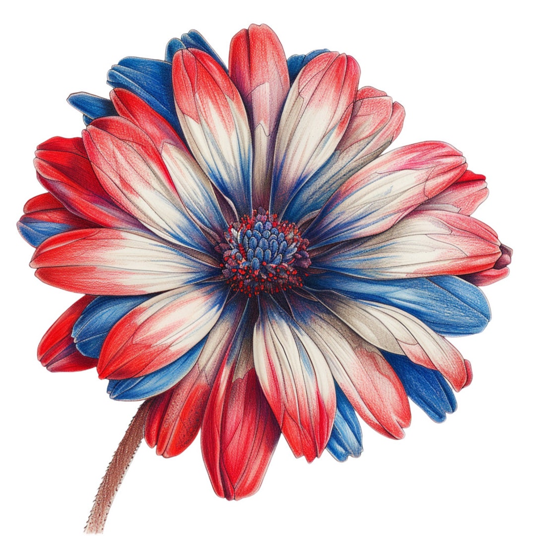 Vibrant 4th Red White Blue Flower Clipart Bundle, 16 High-quality JPG ...