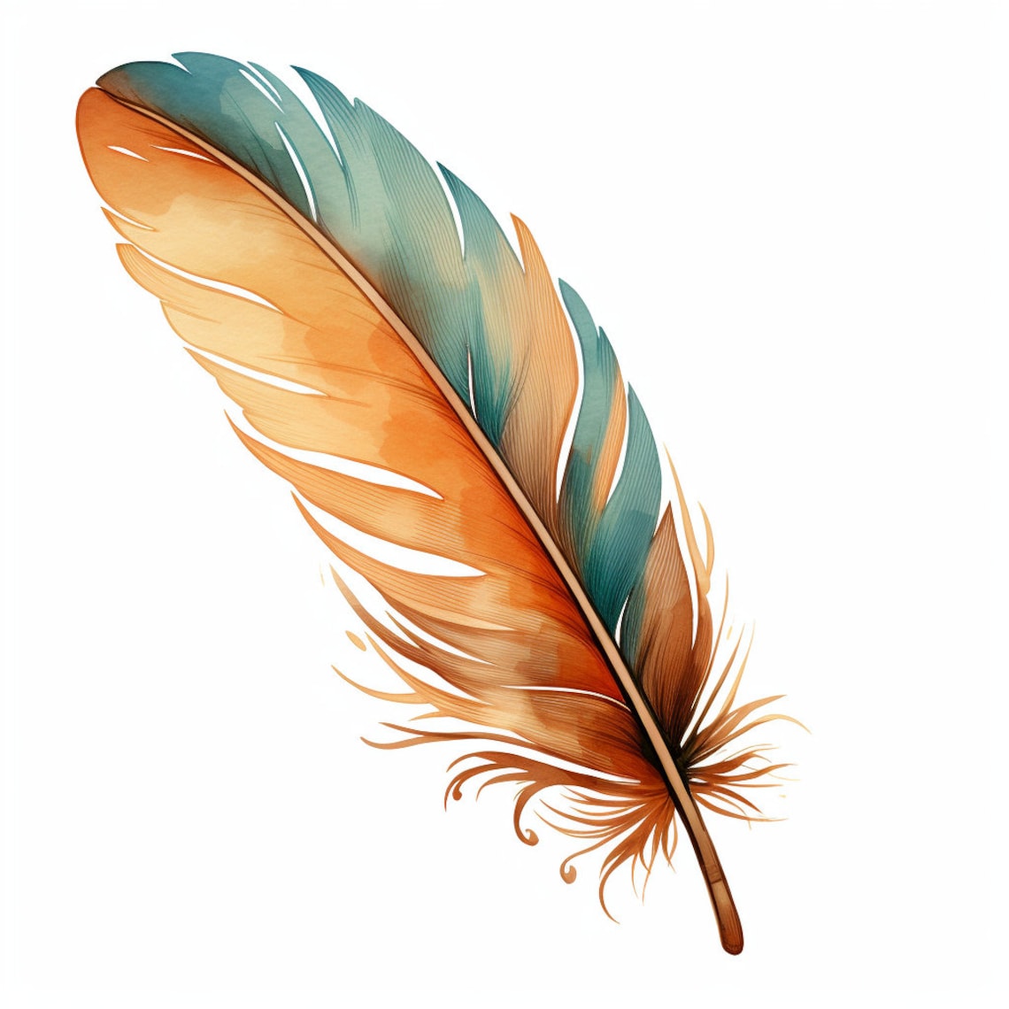 14 Boho Feather Clipart Bundle, High-quality JPG, Invitations, Card ...