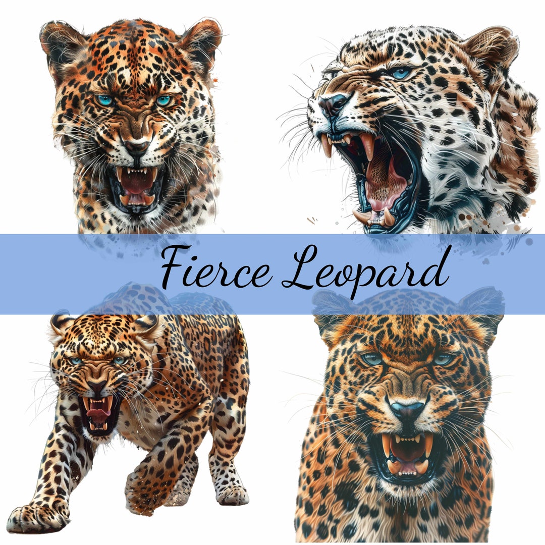 15 Fierce Leopard Clipart Bundle, 15 High-quality JPG, Craft Art, Card ...