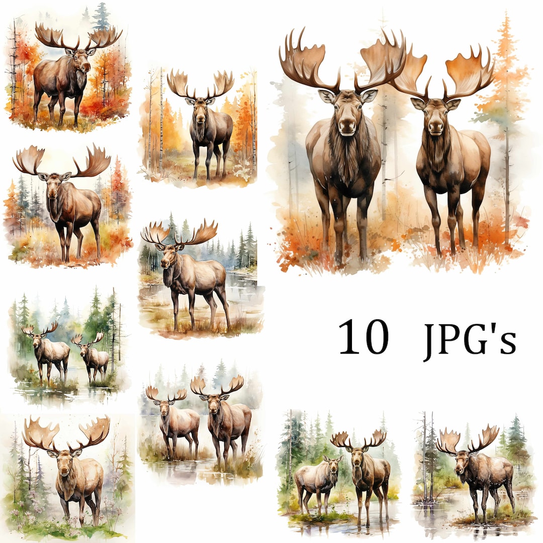 10 Moose in Woods Clipart Bundle, High-quality JPG, Invitations, Card ...