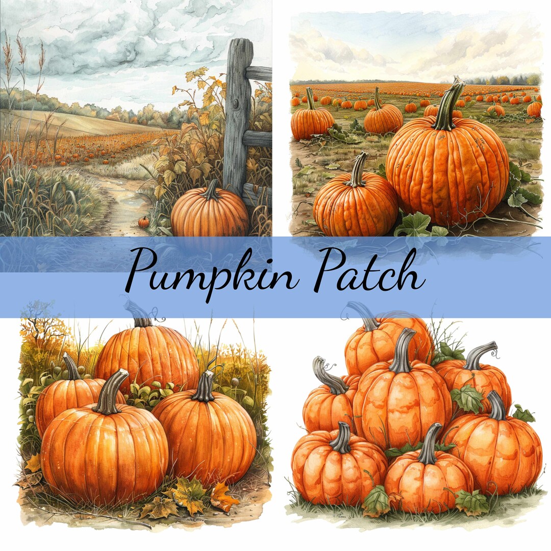 16 Pumpkin Patch Clipart Bundle, 16 High-quality JPG, Craft Art, Card ...