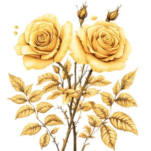 16 Yellow Rose Flower With Gold Clipart Bundle, JPG and Transparent PNG ...
