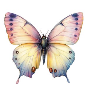 Folk Art Pastel Butterfly Clipart Bundle, 16 Transparent PNG Download ...